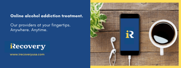 Online Alcohol Counseling in Florida - iRecovery : iRecovery